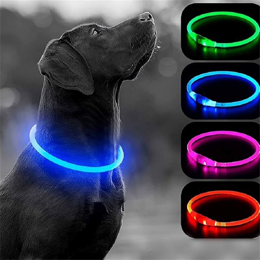 USB Charge Glowing Collar Bright For Night Safety,Adjustable Luminous ...