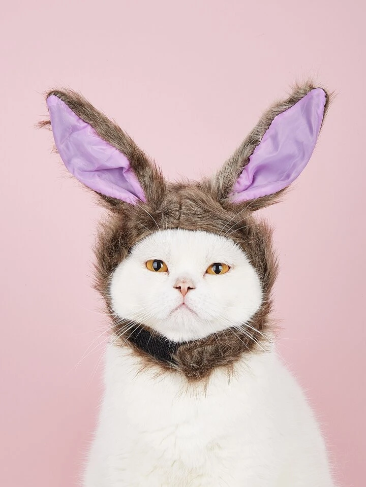 Rabbit Head Costume