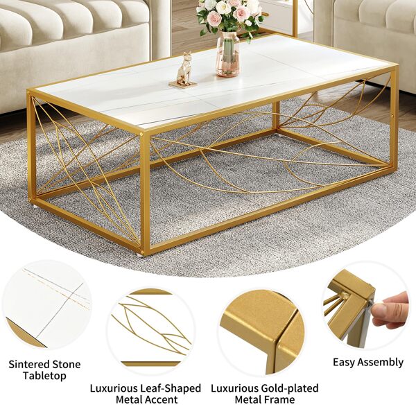 DWVO Modern Coffee Table Rectangular Metal Frame Marble Table Top Leaf ...