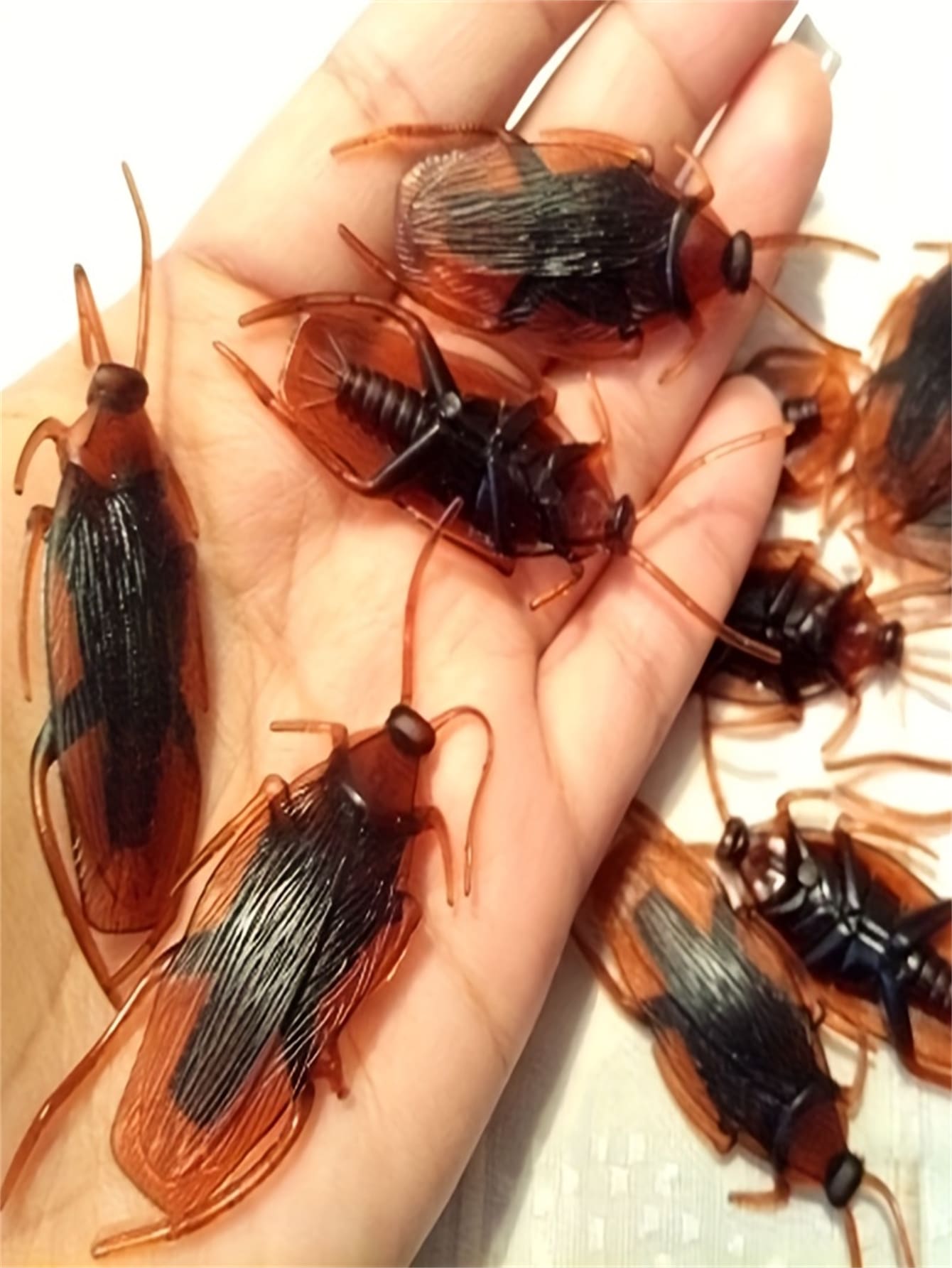 20pcs/5pcs Funny Fake Cockroach Toys, Halloween Party Decoration Prop ...
