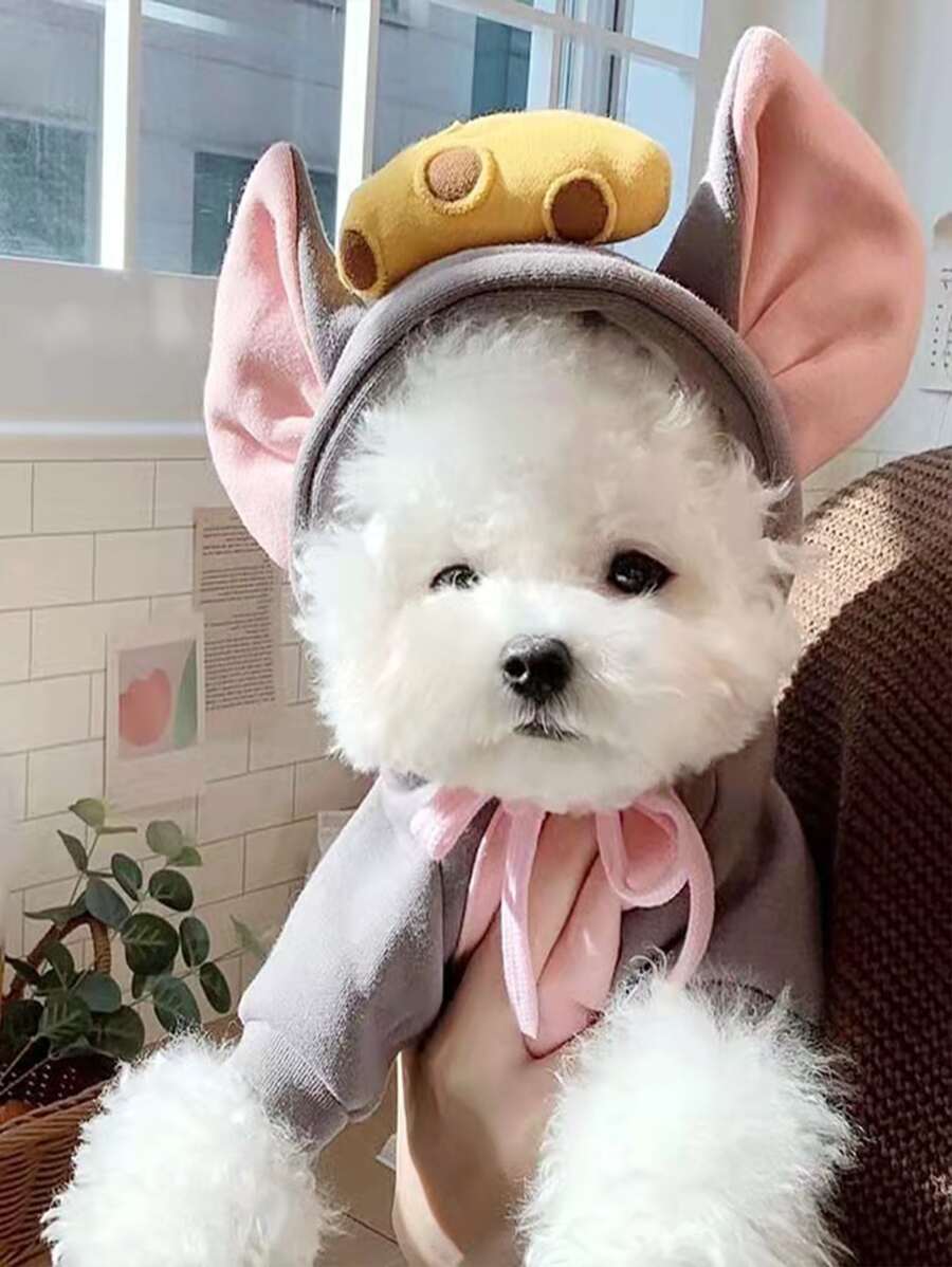 Pet Clothes And Accessories, Two-legged Clothing For Dogs And Cats ...