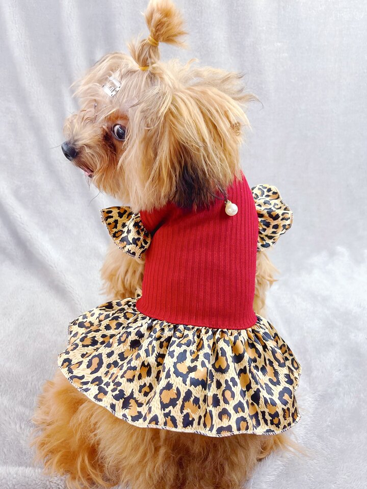 Pet Leopard Car