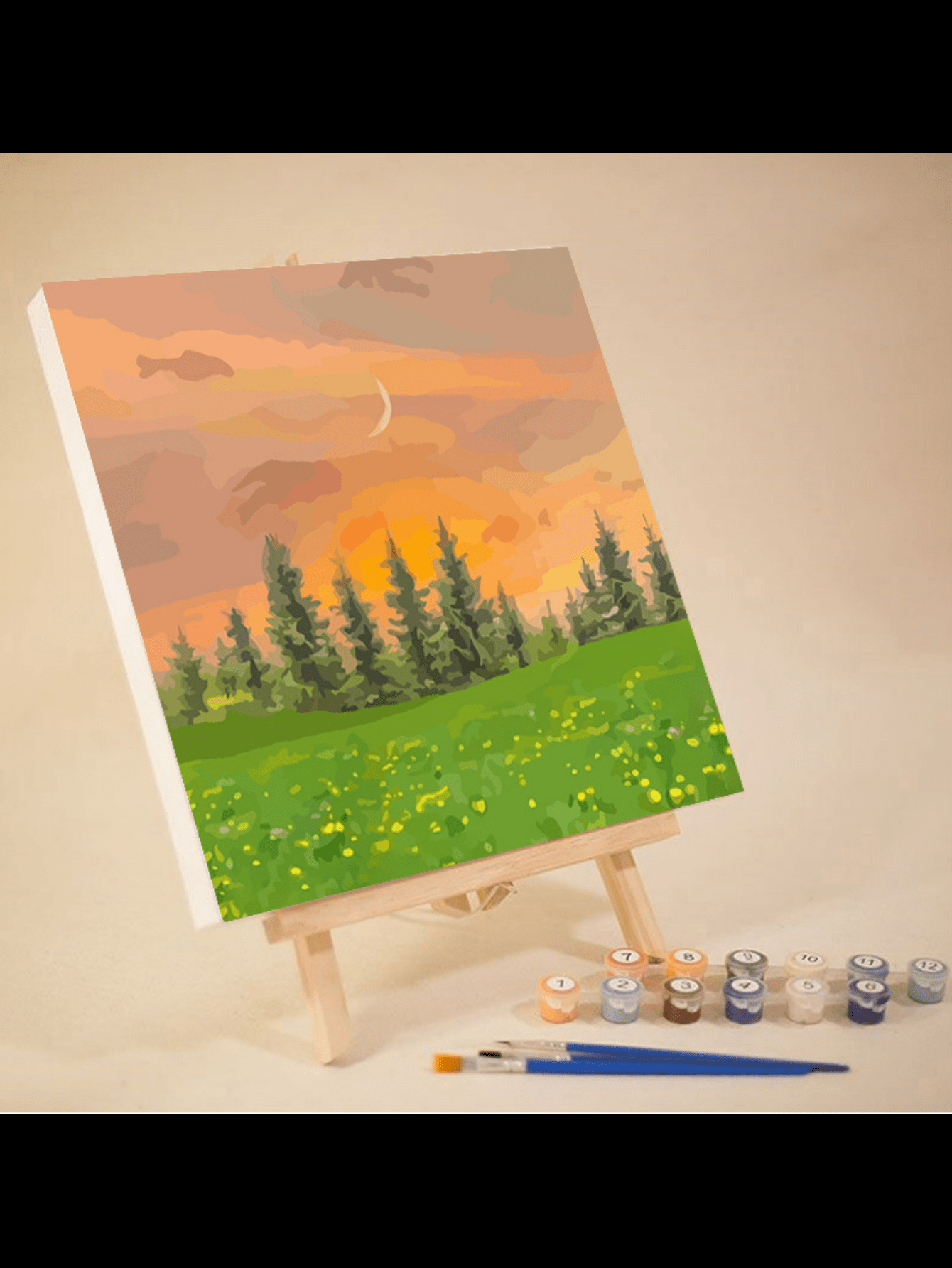 1pc Diy Flower Themed Digital Oil Painting Kit With High Light Pigment ...