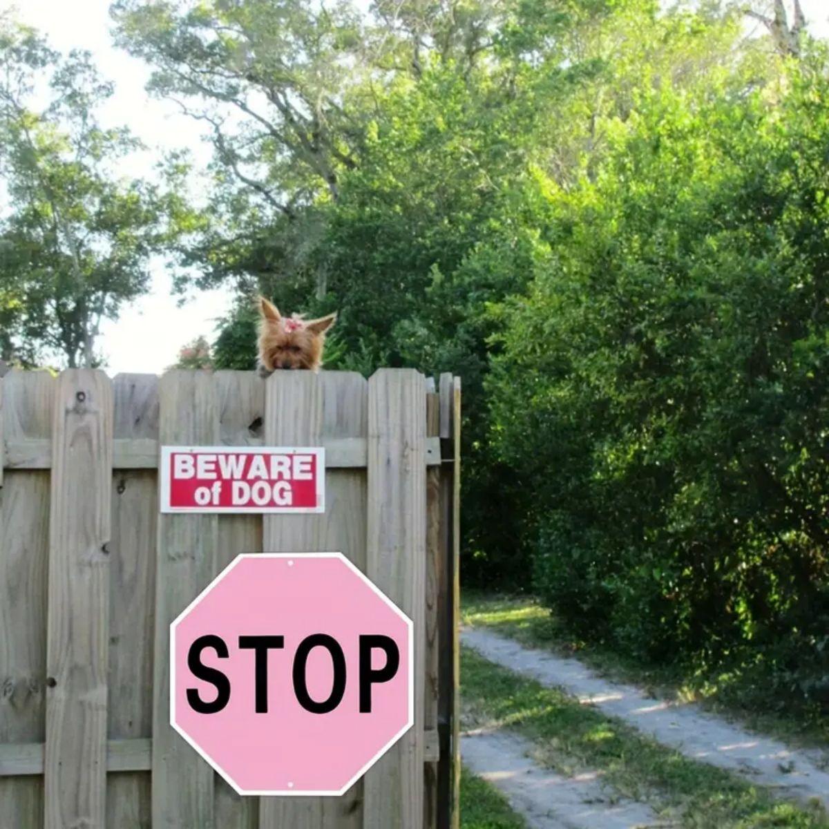 Joivida 1pc Pink Stop Sign Room Decor, Street Signs 12 X 12 Inches ...