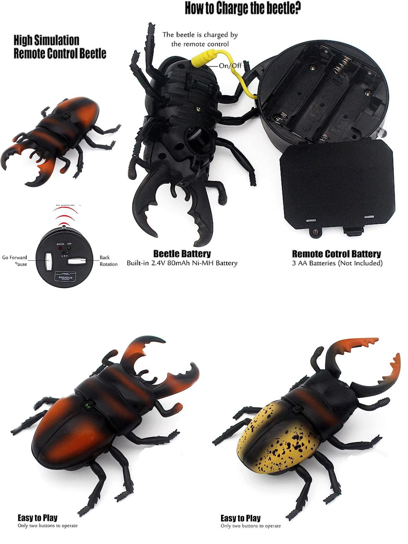 Beetle RC Remote Control Insect Realistic Simulation Climber ...