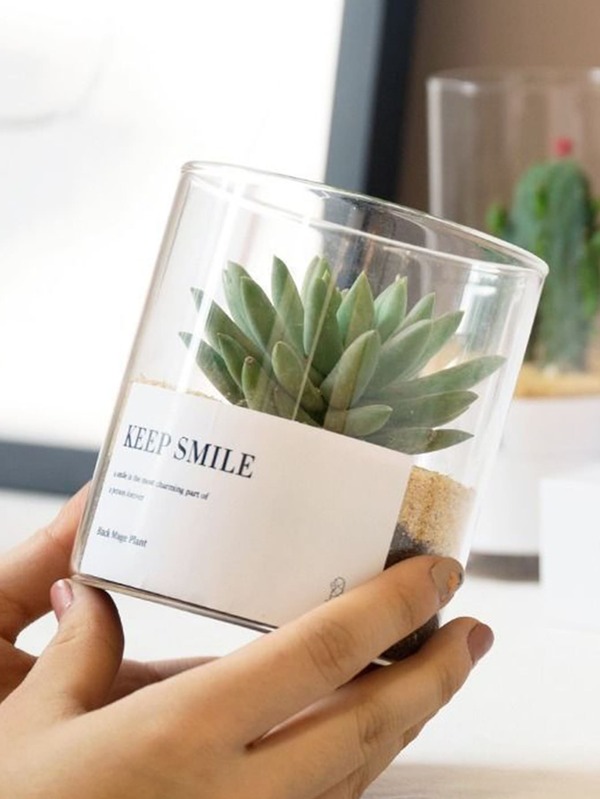Minimalist Glass Plant Container | SHEIN USA