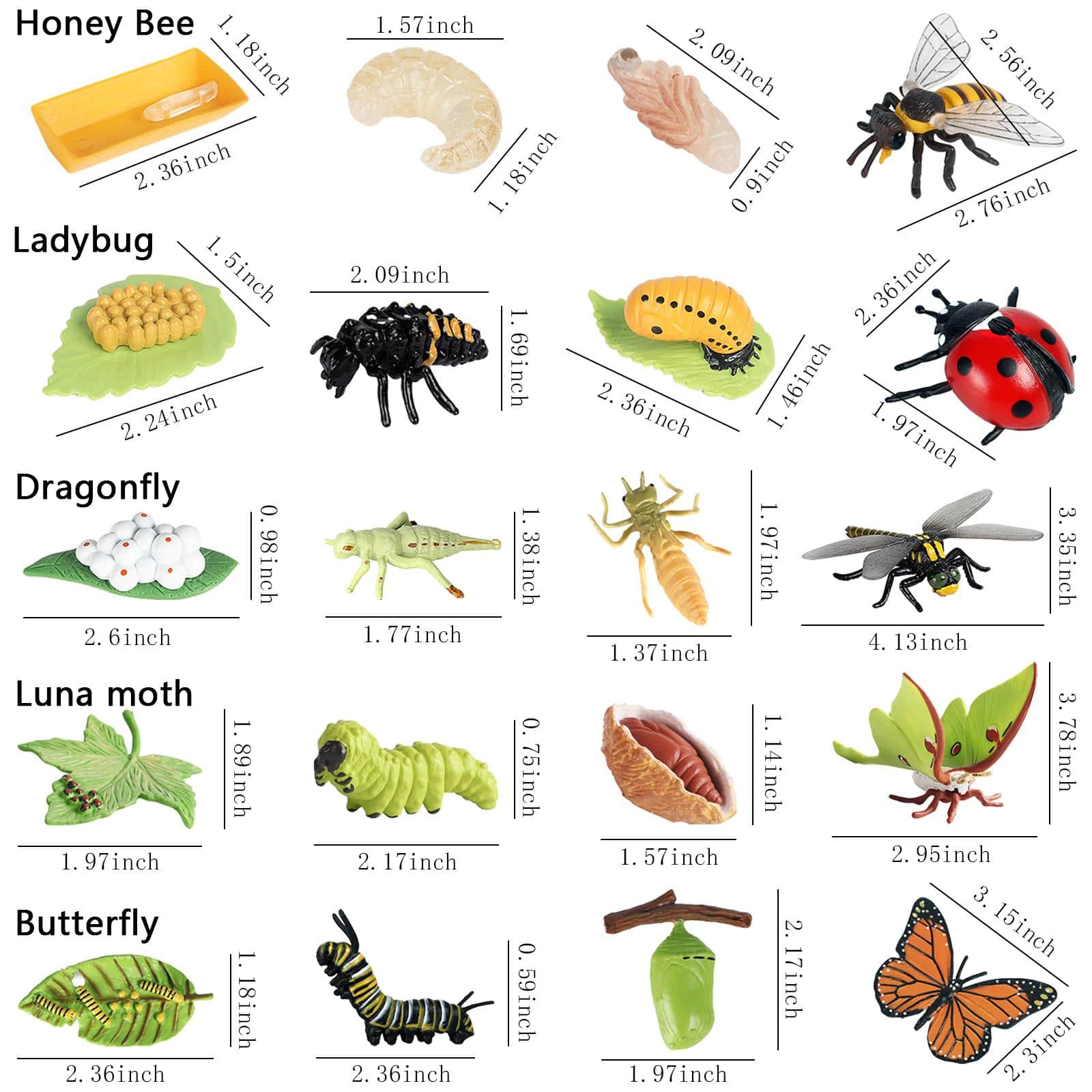 20 Pieces Insect Figurines Life Cycle Toy Figurines Butterfly Dragonfly ...