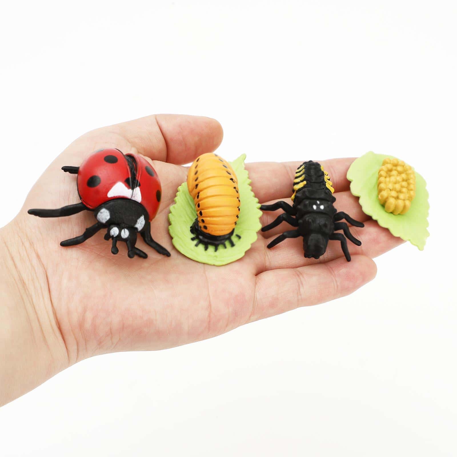 20 Pieces Insect Figurines Life Cycle Toy Figurines Butterfly Dragonfly ...