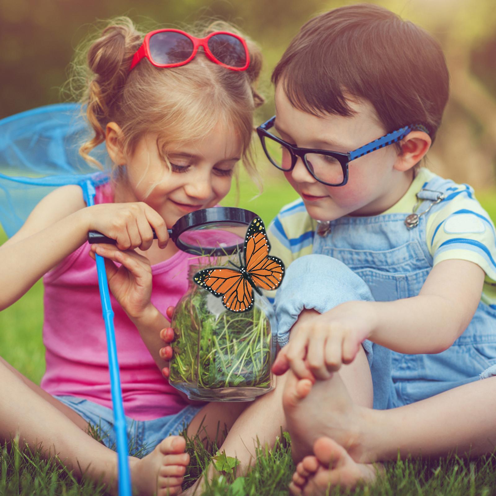 20 Pieces Insect Figurines Life Cycle Toy Figurines Butterfly Dragonfly ...