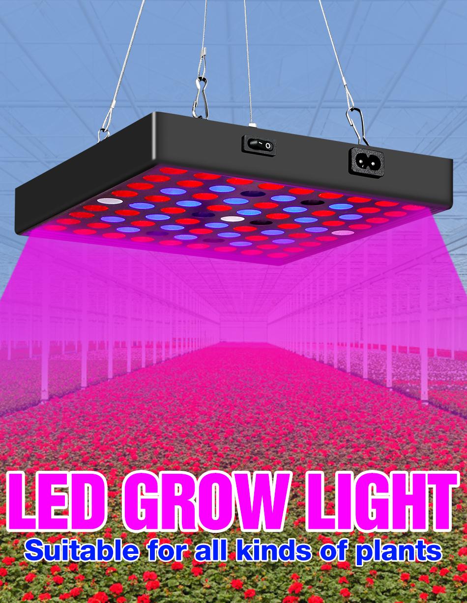 50w Led Full Spectrum Plant Growth Lamp For Ac85-265v Sun-like Light ...
