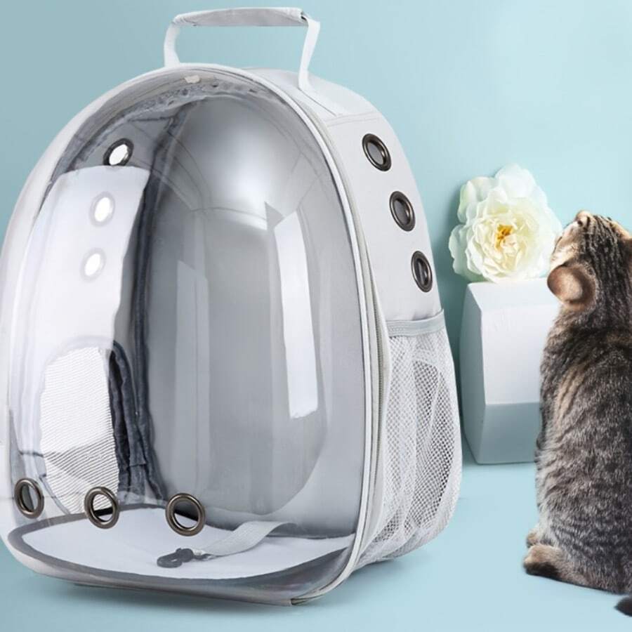 Portable Pet Carrier Backpack For Cats, Breathable Transparent ...