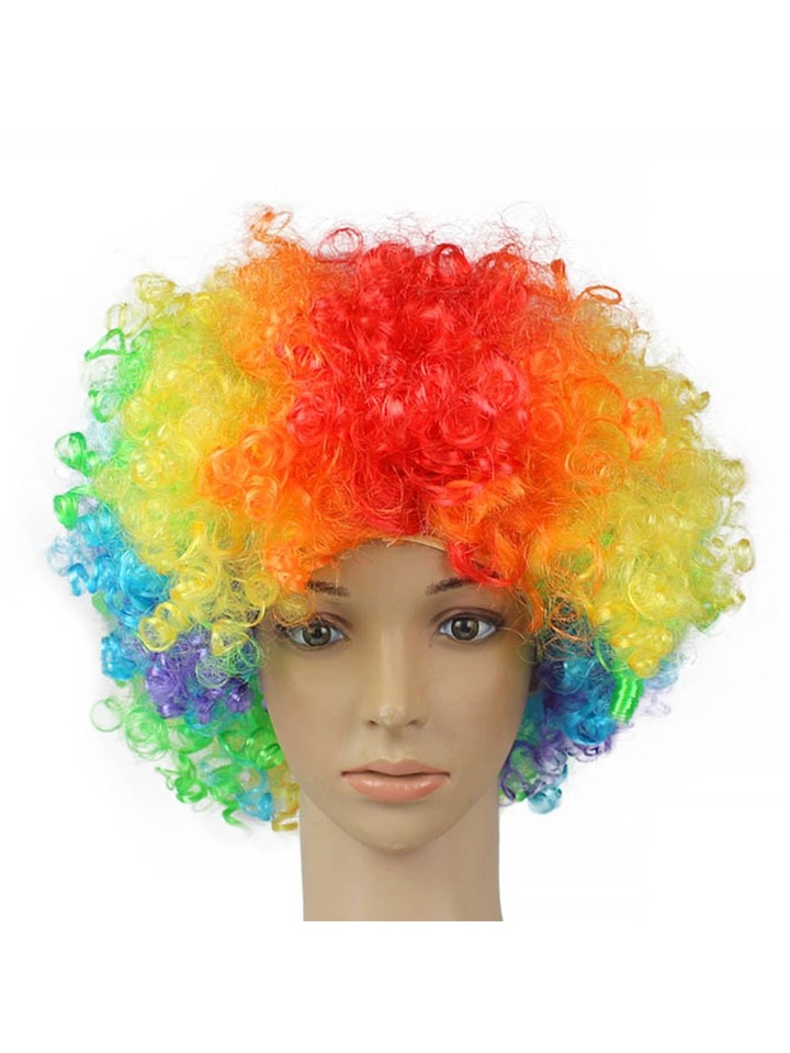 Rainbow Clown Wig