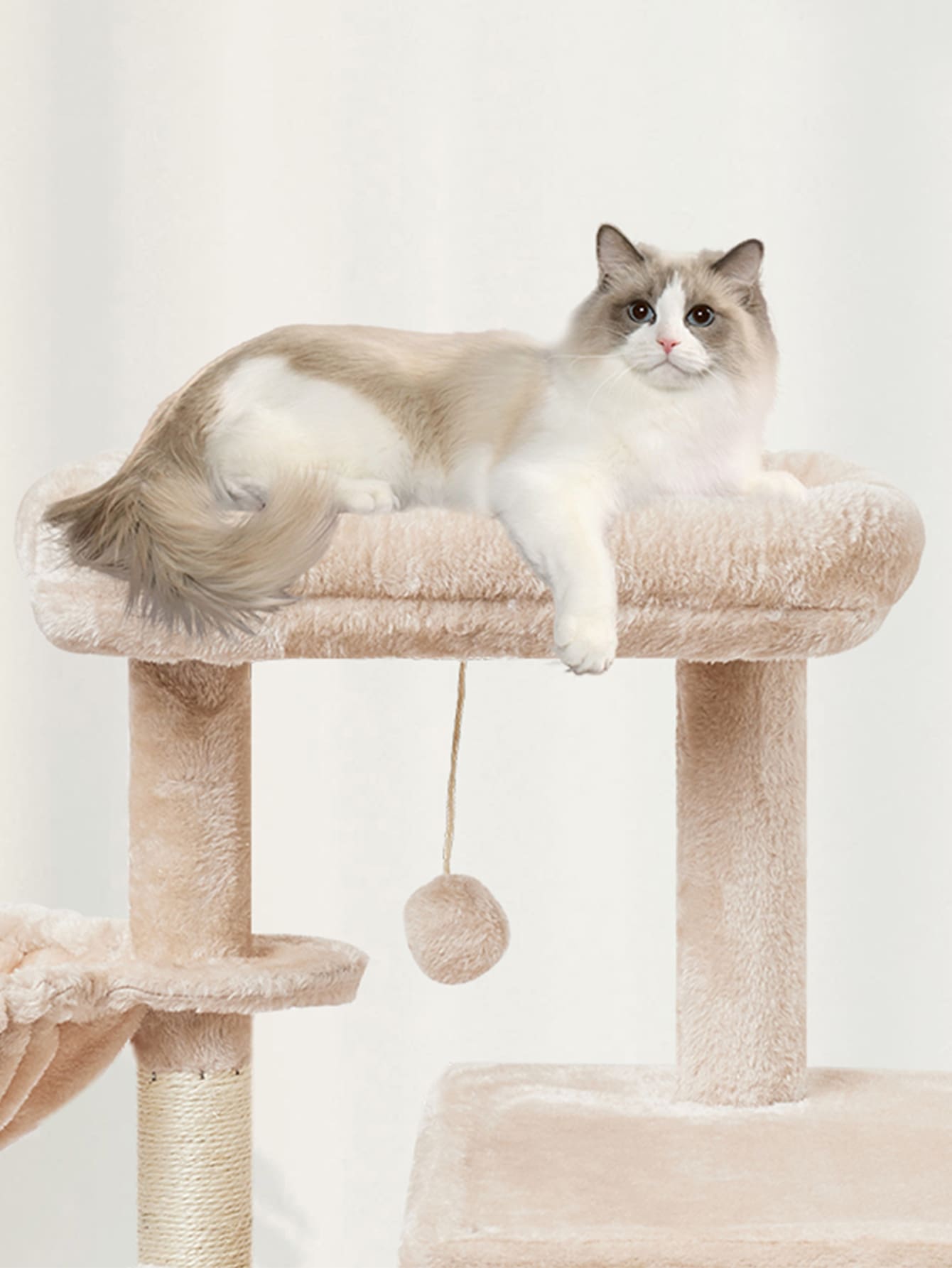 Cute Cat Tree Tower for Indoor Cats Condo with Sisal Scratching Posts ...