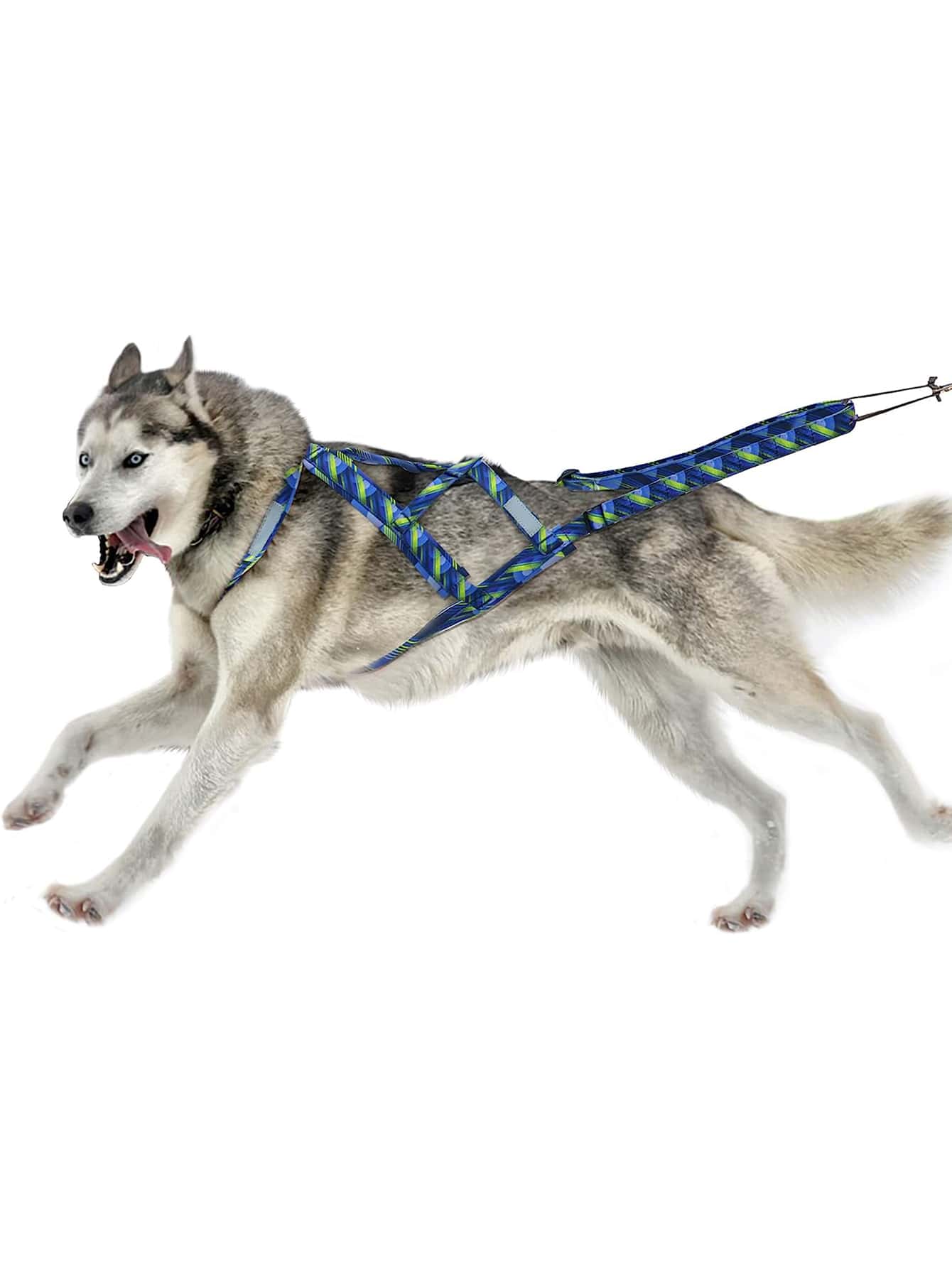 Sled Dog Harness For Outdoor Snow Skiing, Soft & Comfortable For Large ...