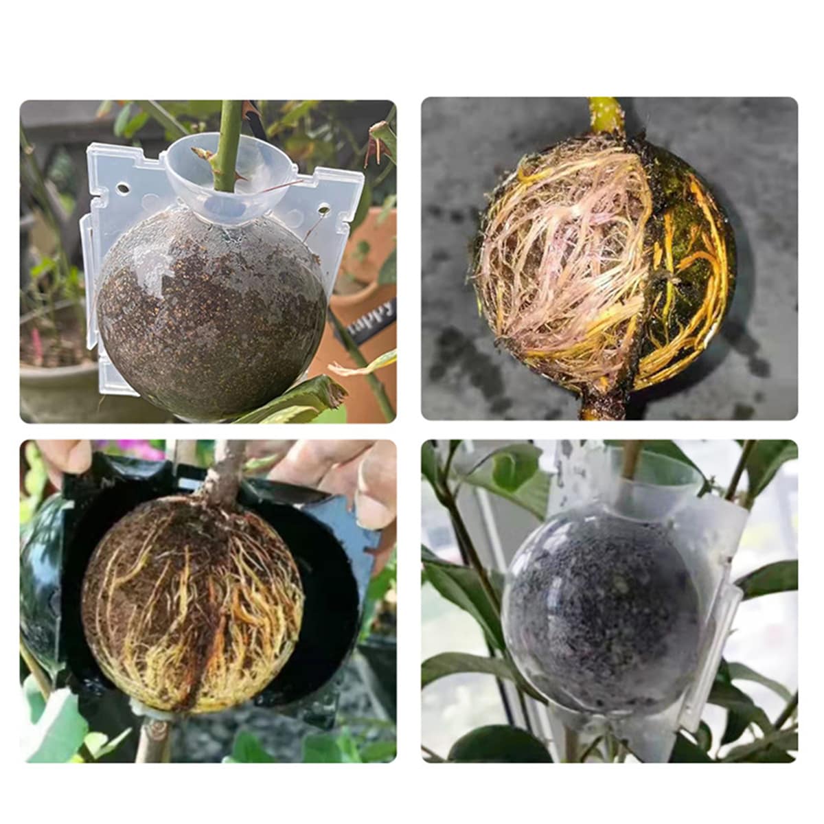 Garden Plant Rooting Ball Incubator High Pressure Incubator Grafted ...