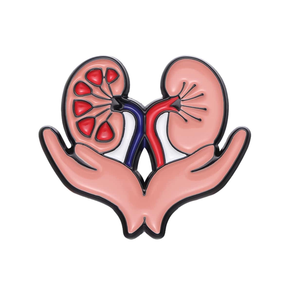 Cute Medical Enamel Brooch Pins Liver and Kidney Breast Lapel Badge ...