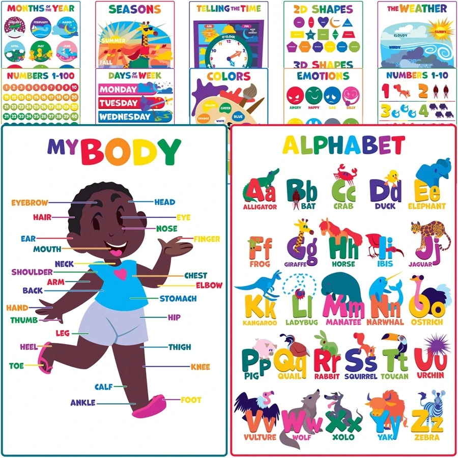 Youngever 12 Pack Laminated Educational Preschool Posters For Toddlers ...