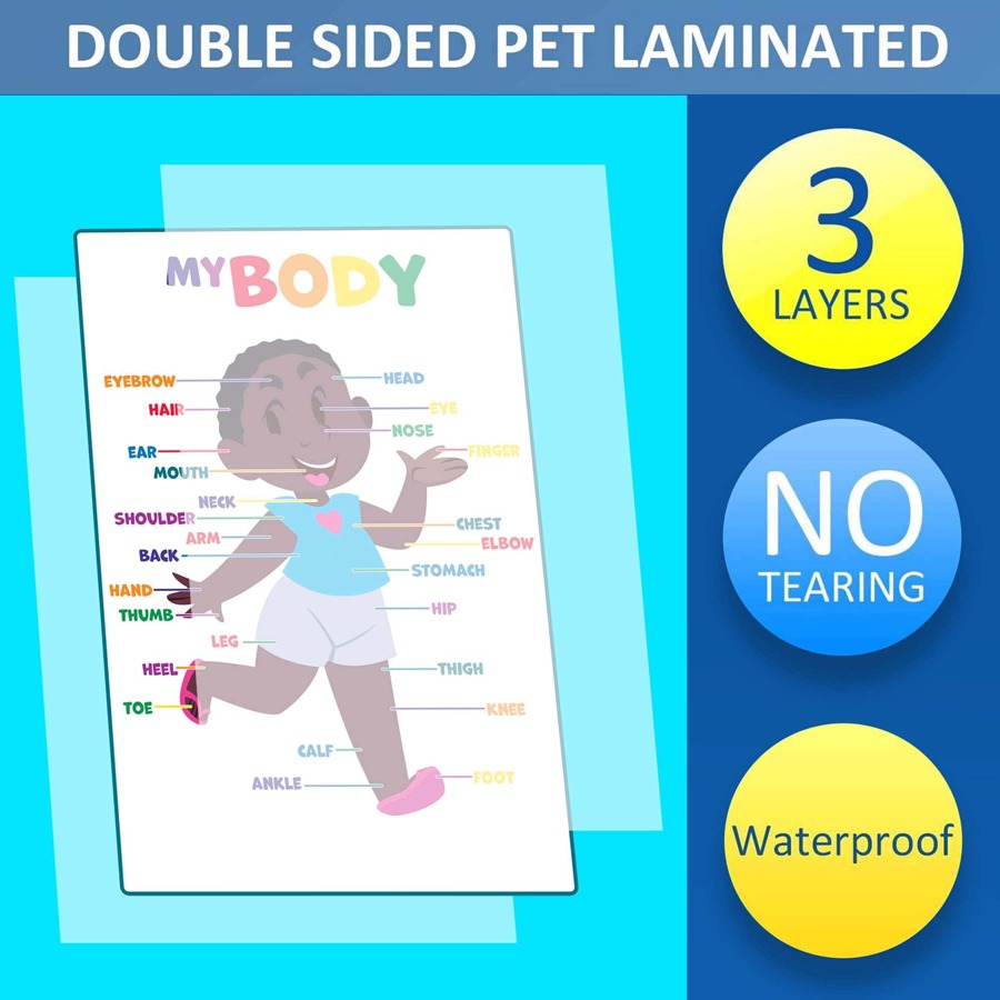 Youngever 12 Pack Laminated Educational Preschool Posters For Toddlers ... Youngever 12 Pack Laminated Educational Preschool Posters For Toddlers ...