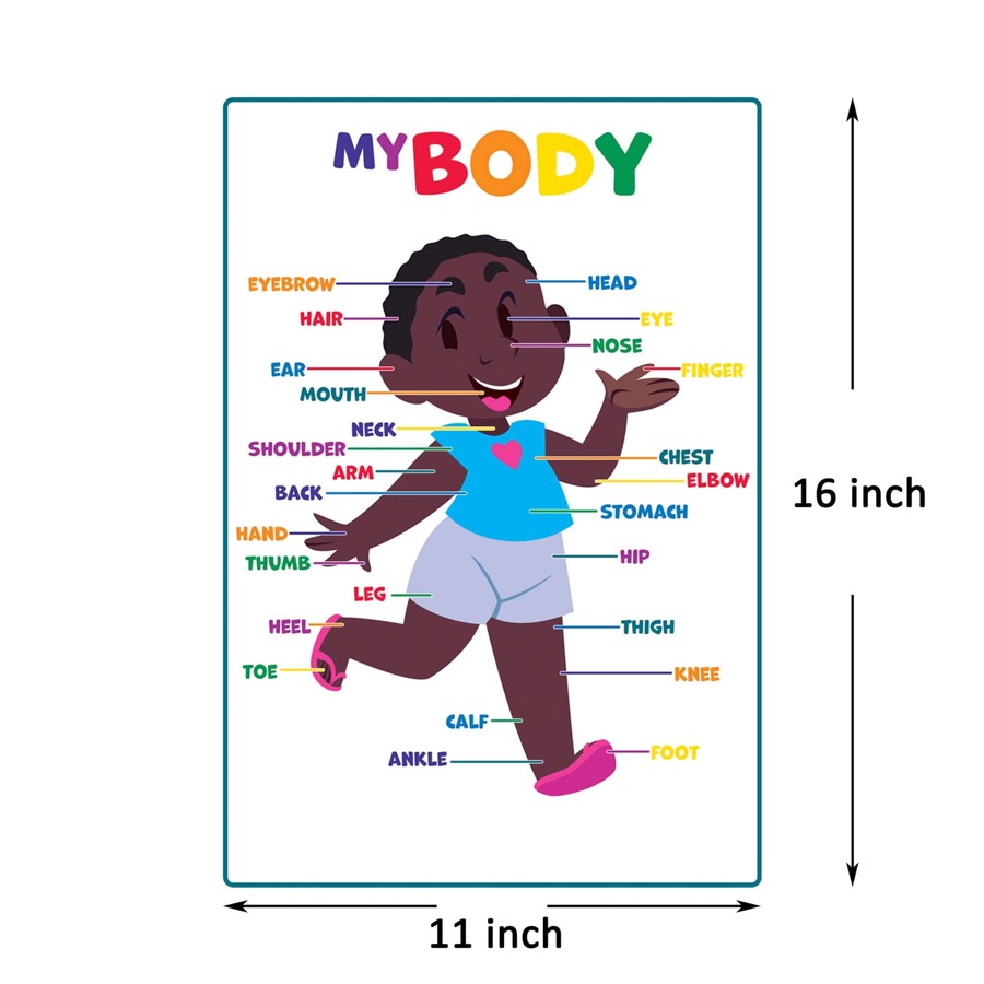 Youngever 12 Pack Laminated Educational Preschool Posters for Toddlers and Kids, Learning ...