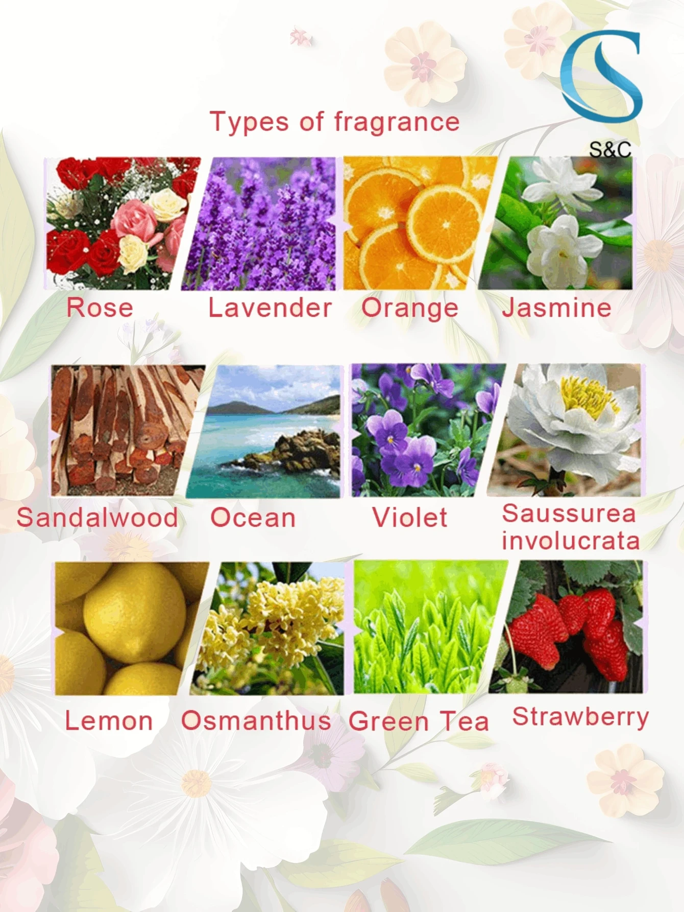 Essential Oil Set, Essential Oil Humidifier 36 Pieces | SHEIN USA