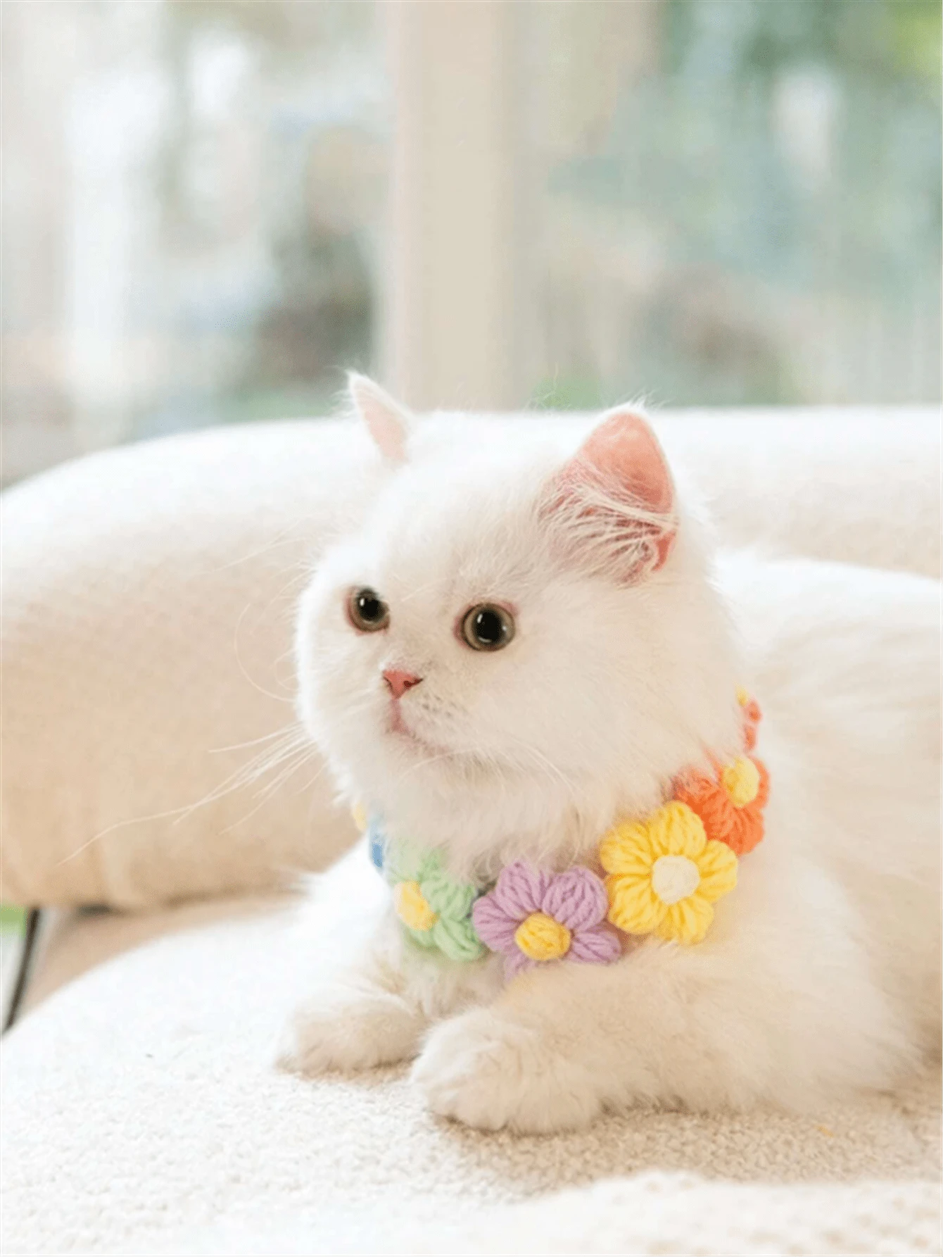 1pc Sweet Flower & Cat Ear Design Knitted Pet Collar, Handmade Cute Cat ...
