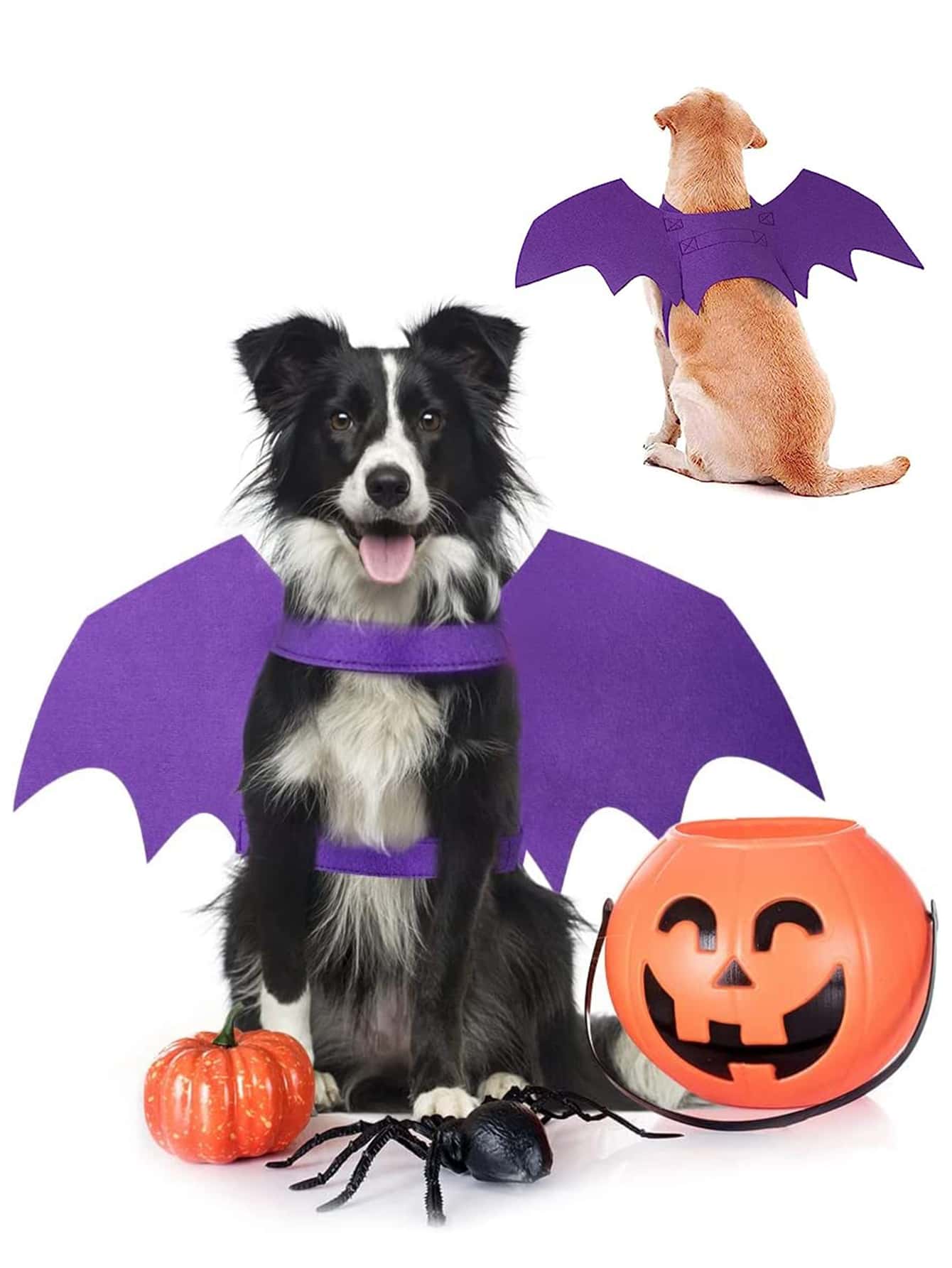 Bat Wings For Dogs