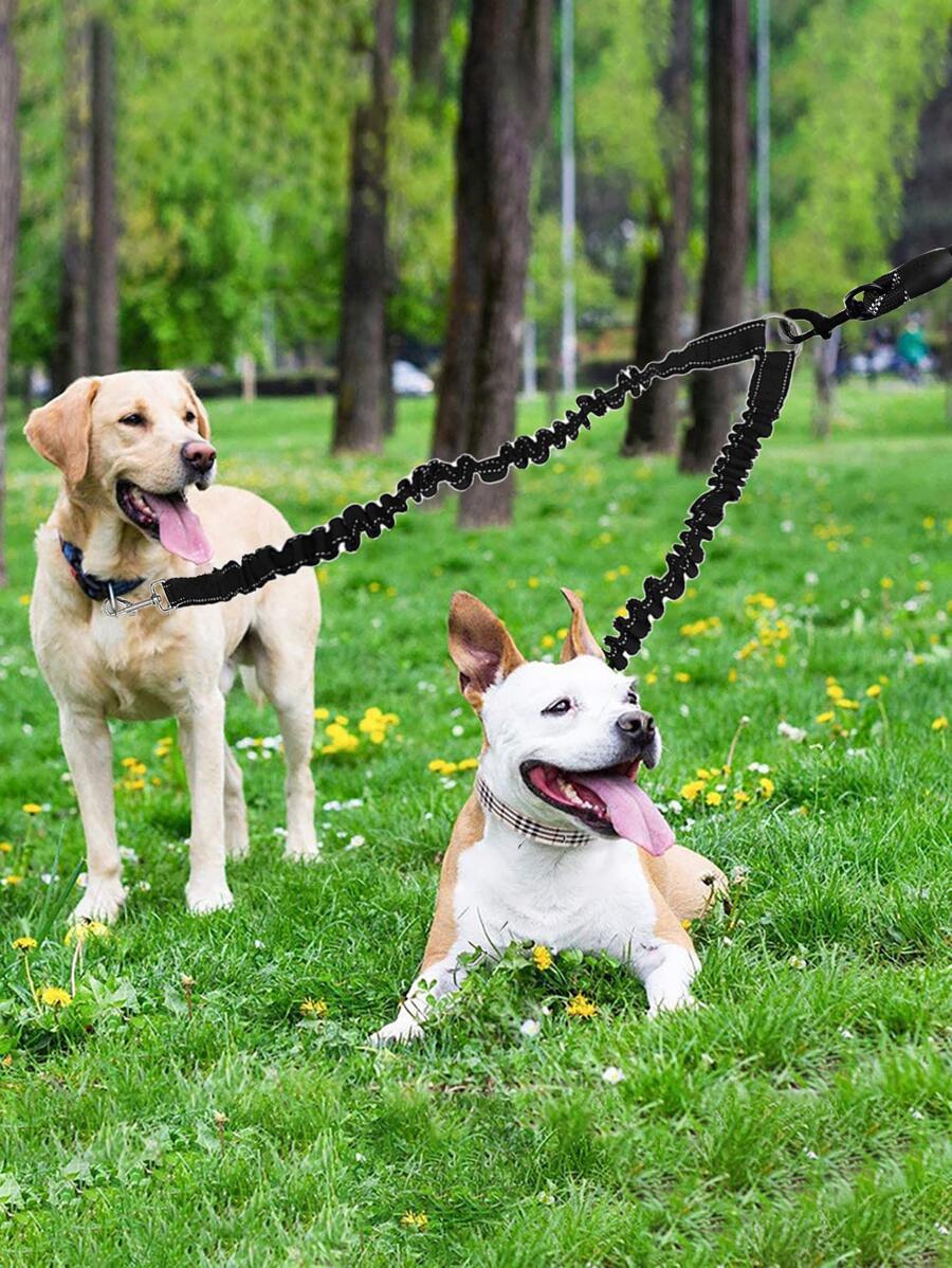 1pc Pet Elastic Traction Rope Double-headed Dog With One Drag And Two ...