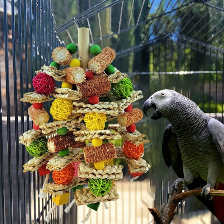 African Grey Parrot Toys