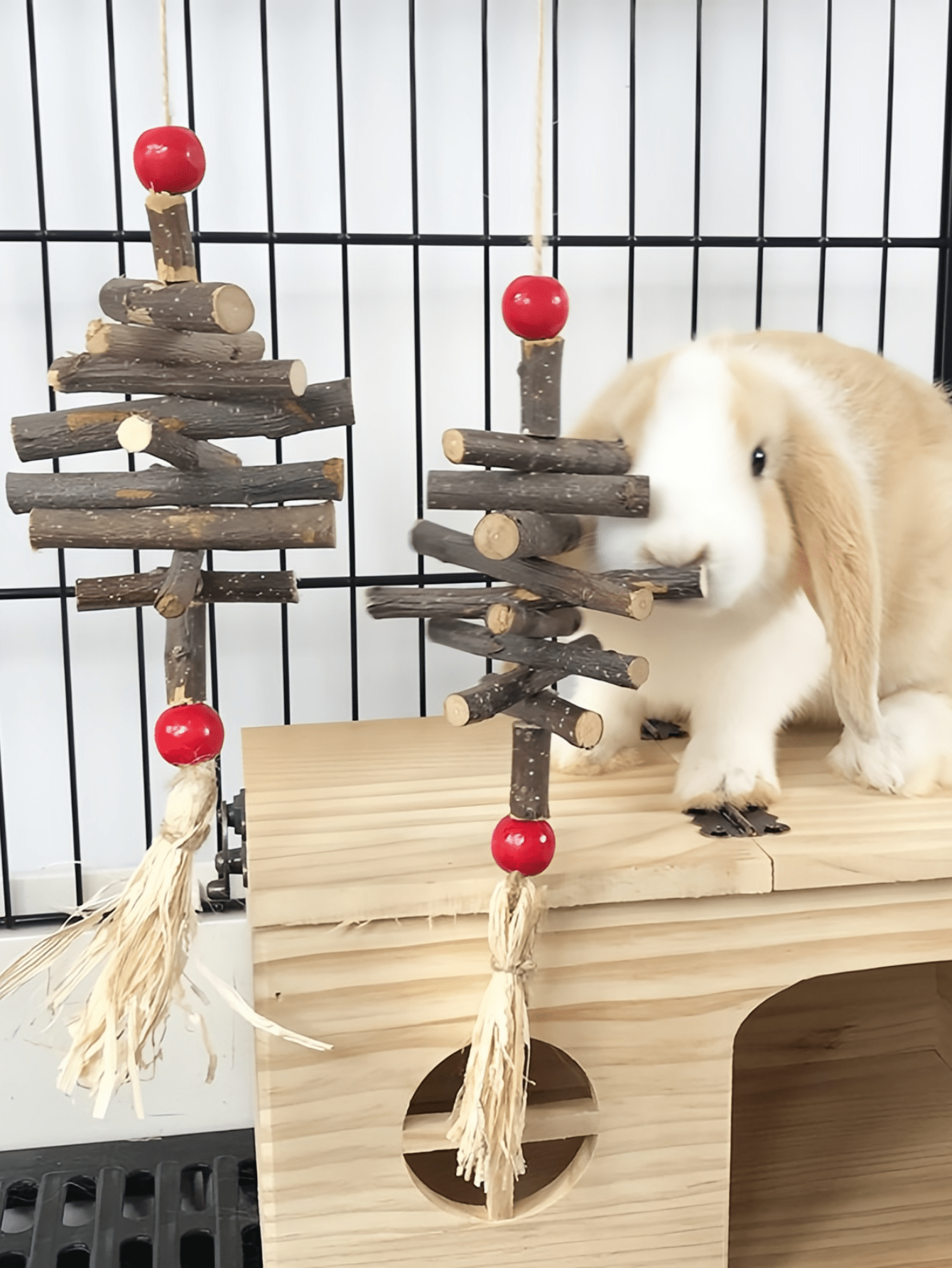 1pc Natural Apple Wood Chewing Toy, Hanging String, For Small Pets Such ...