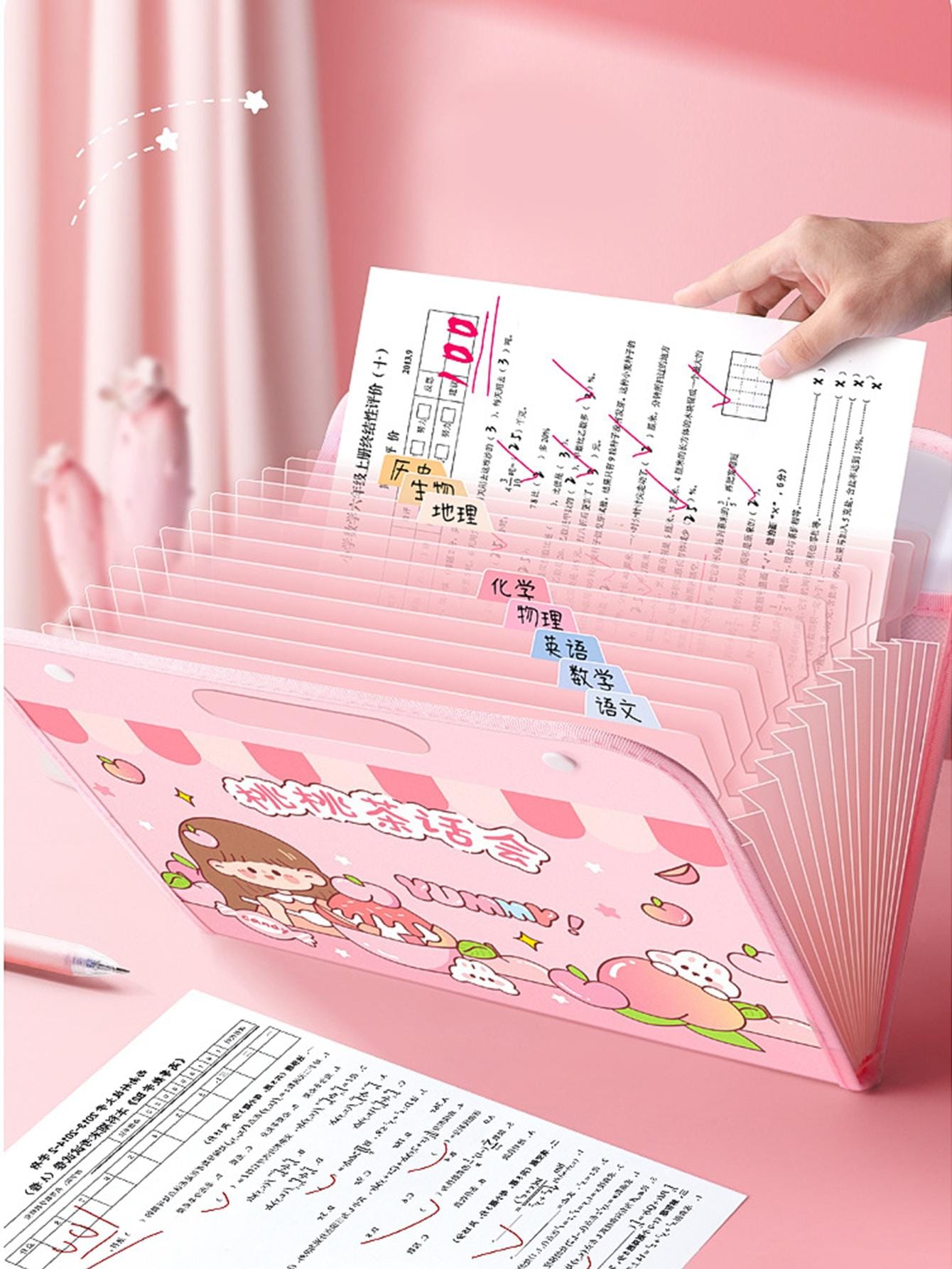 A4 Portable File Folder, Exam Papers Organizer With Multiple Accordion ...