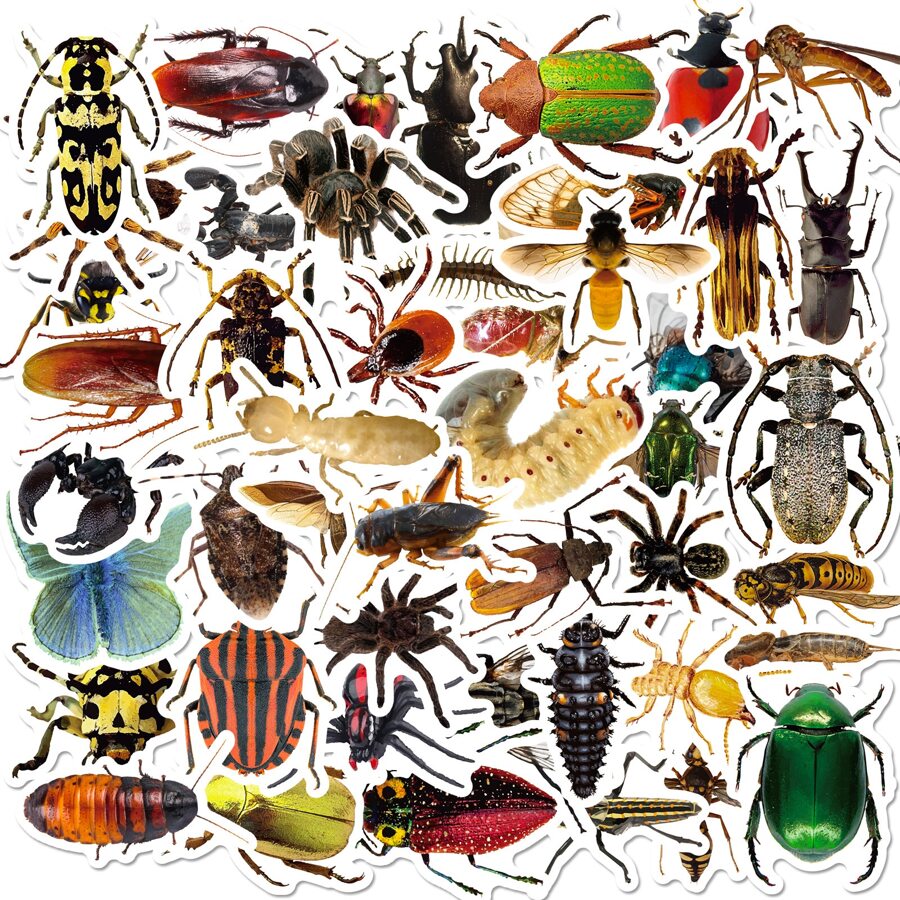 50pcs Realistic Insect Stickers, Personalized Butterfly, Beetle, Spider ...