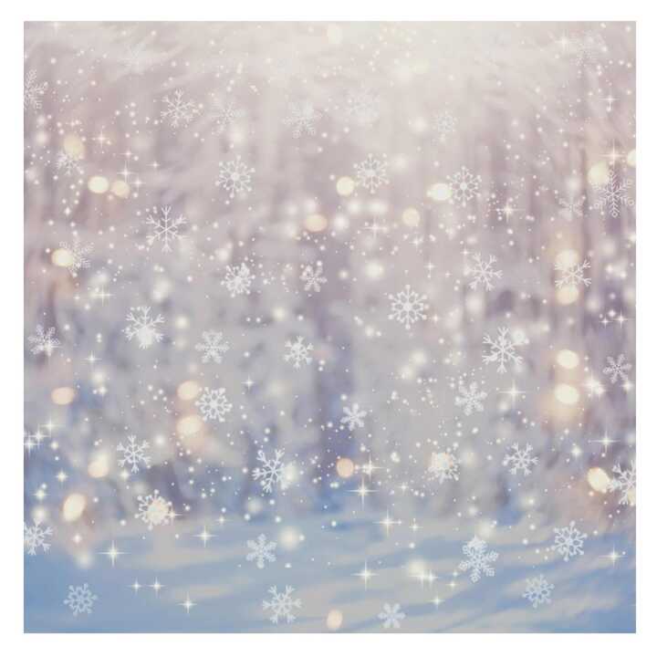 Winter Wonderland Backdrop