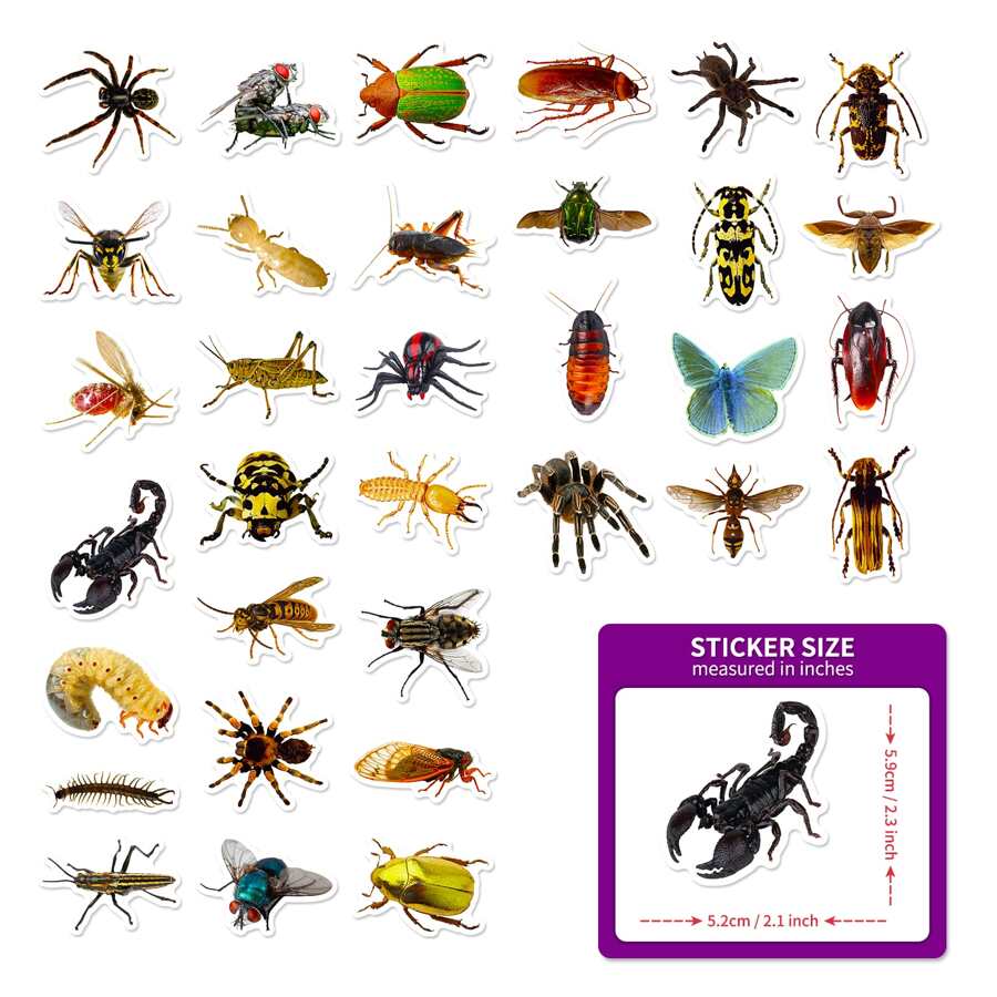 50pcs Realistic Insect Stickers, Personalized Butterfly, Beetle, Spider ...