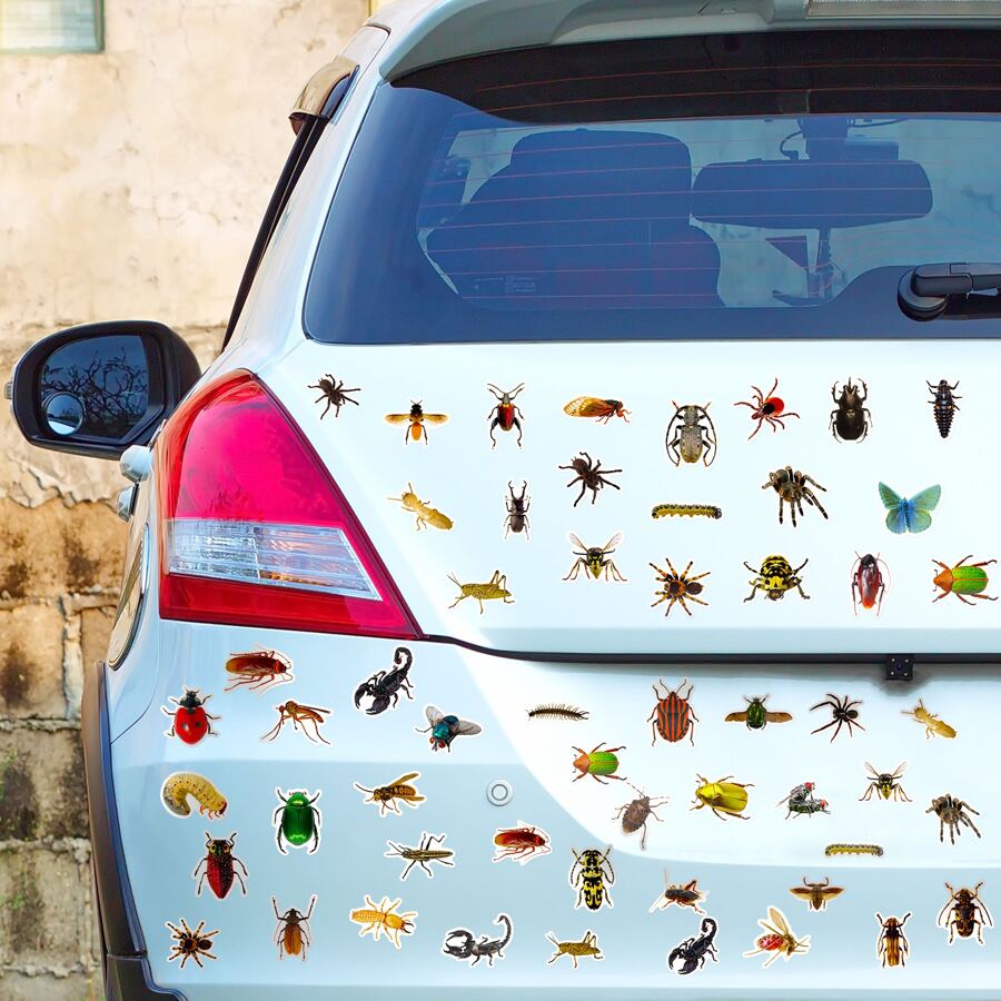 50pcs Realistic Insect Stickers, Personalized Butterfly, Beetle, Spider ...