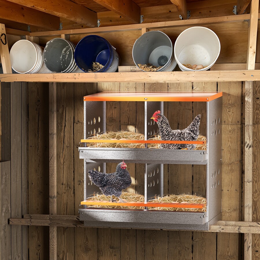 Chicken Nesting Boxes, 4 Hole Nesting Boxes For Laying Eggs, Heavy Duty ...