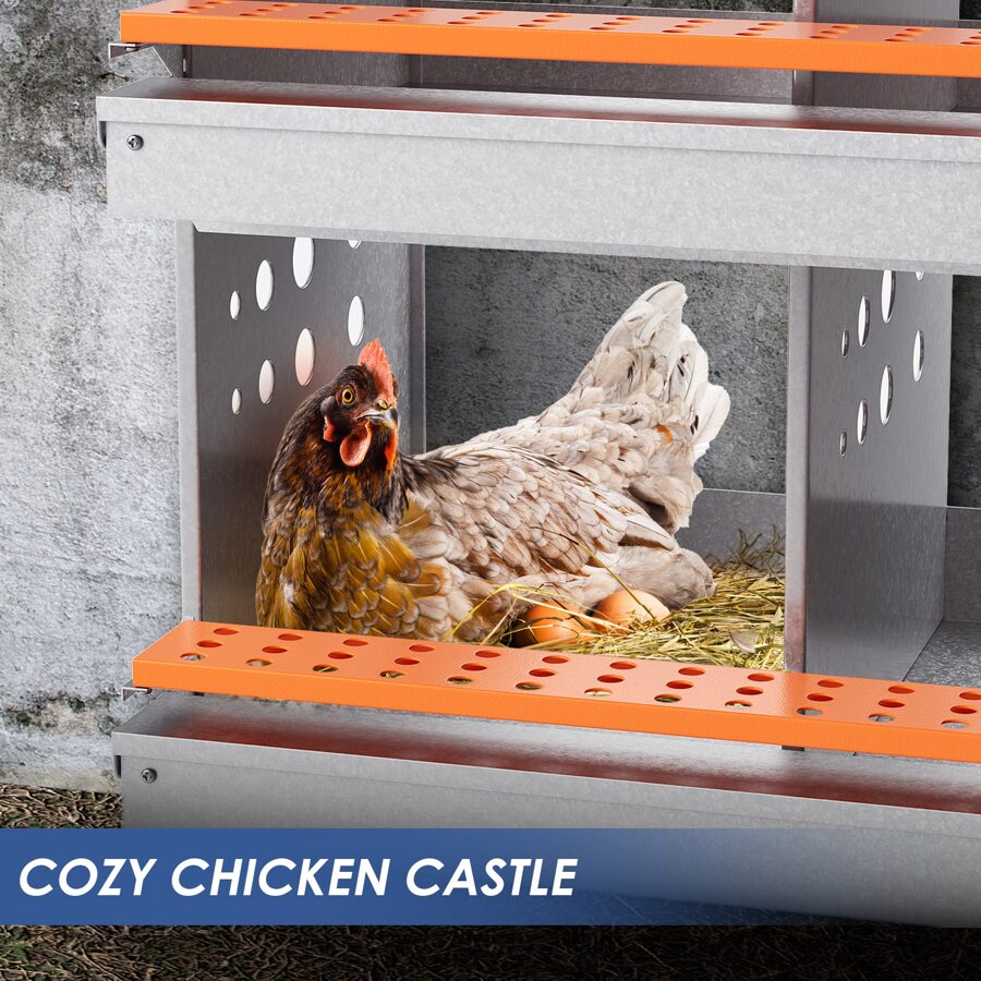 Chicken Nesting Boxes, 6 Compartment Roll Out Chicken Egg Laying Box ...