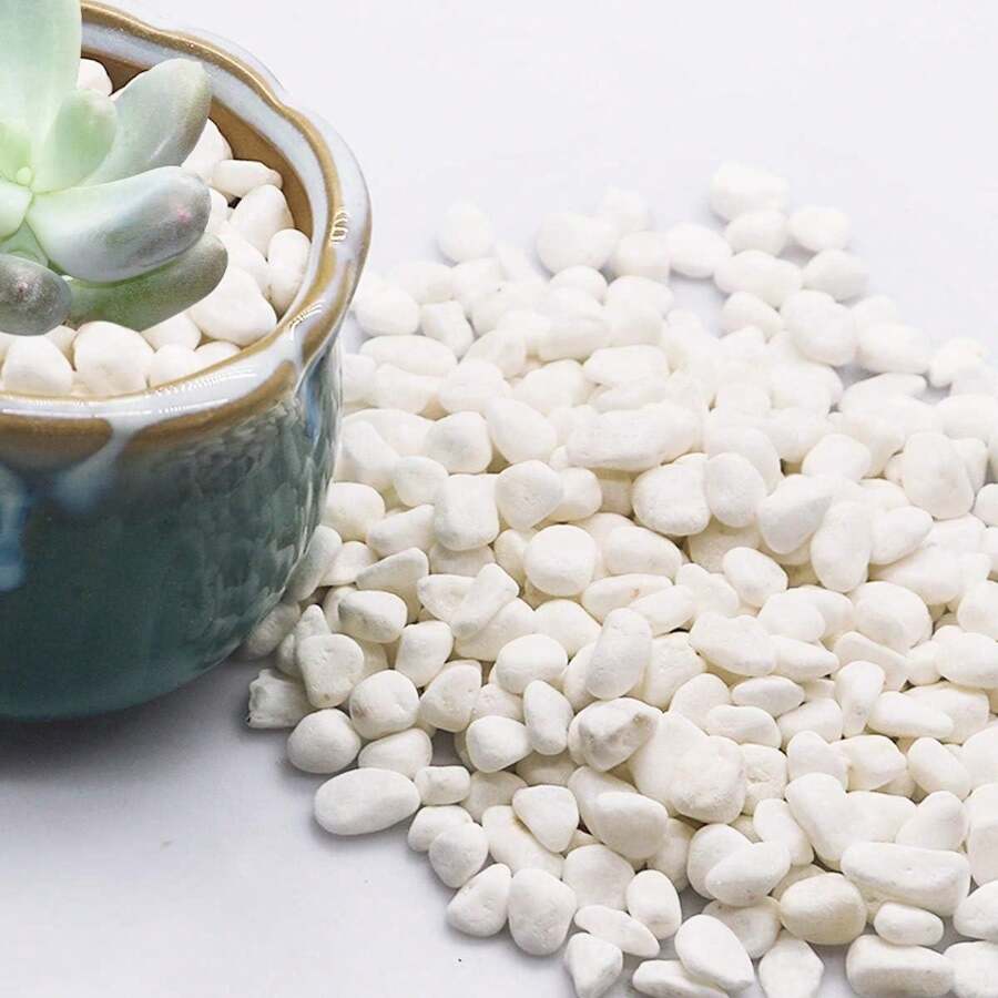 Mini White Rocks Stone Decorative Pebbles Vase Fillers Succulents ...