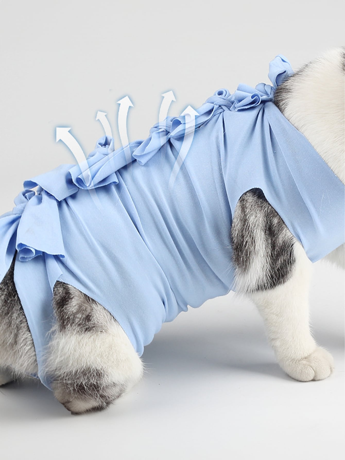 Blue Pet Neutering Suit | SHEIN USA