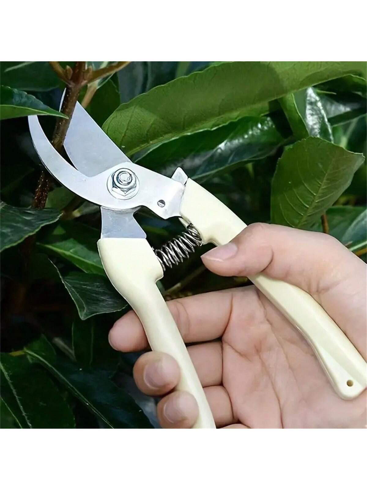 1pc Stainless Steel Garden Scissors With Lock, Straight & Curved Blade ...