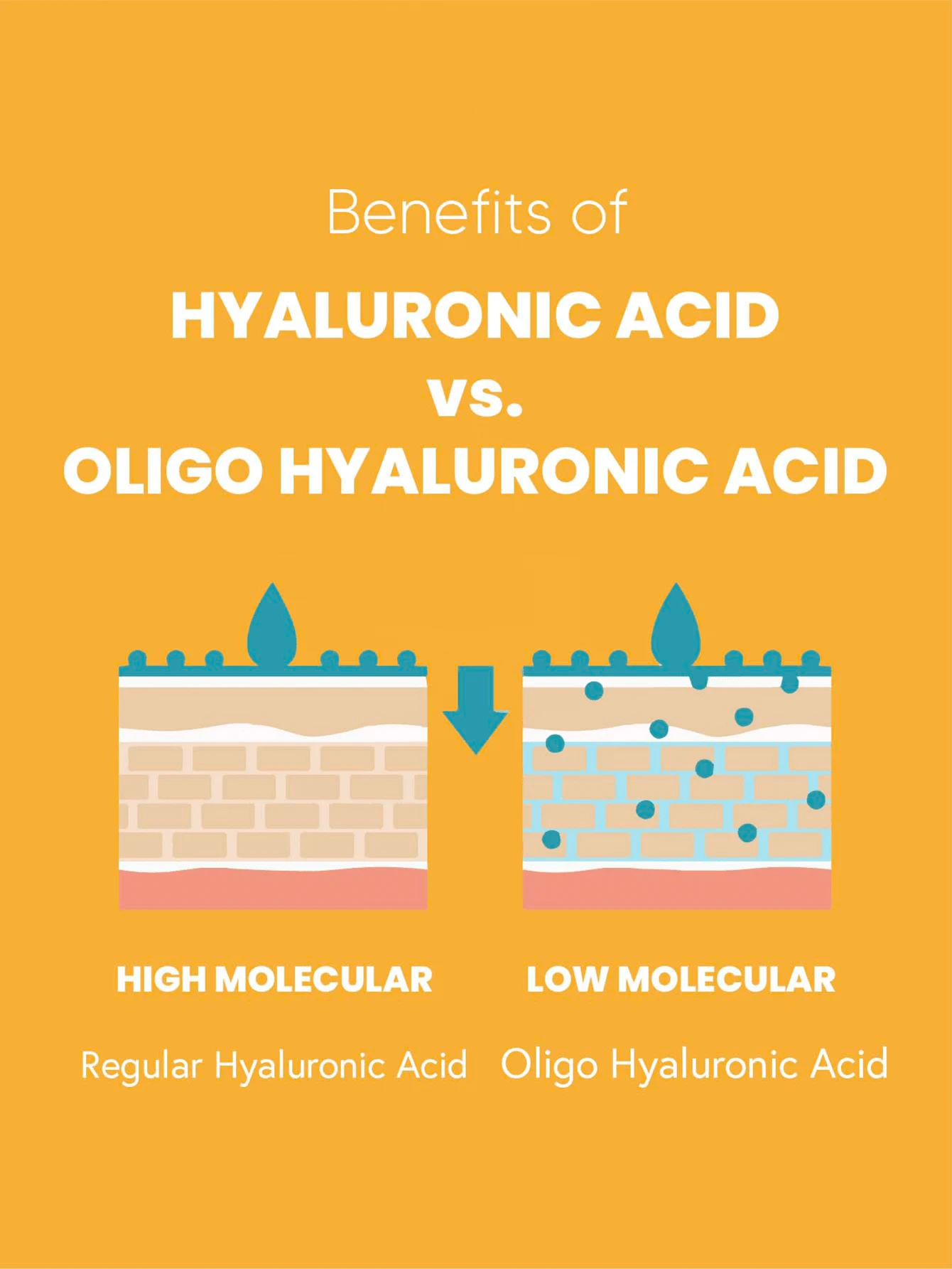 EMF Hydrating Skincare Set Face Mask, Cream, Cleanser | SHEIN USA