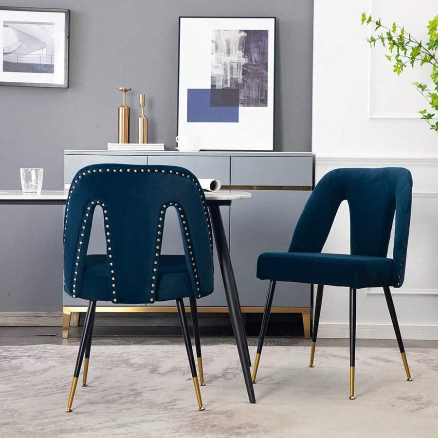 2 Piece Set Modern Dining Chairs, Velvet Upholstered Side Chairs with ...