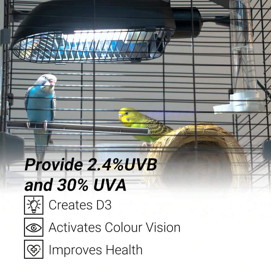 UVA UVB Bird Lighting Combo Kit, Bird Cage Light Fixture with 2.4% UVB ...