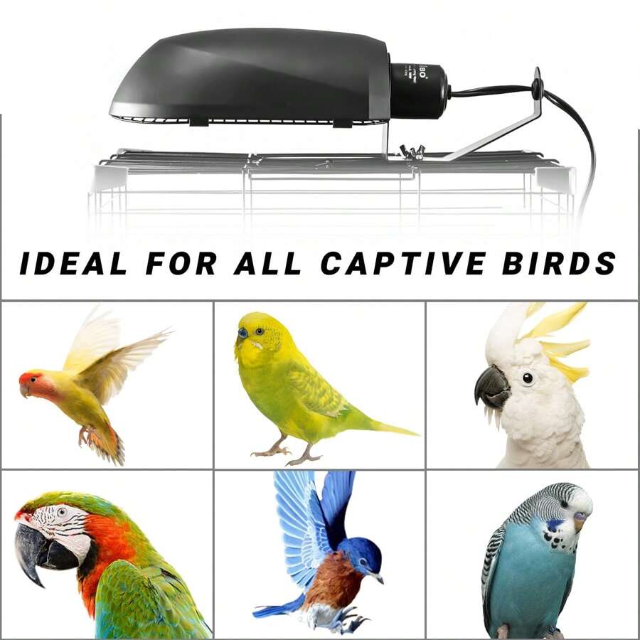 UVA UVB Bird Lighting Combo Kit, Bird Cage Light Fixture with 2.4% UVB ...