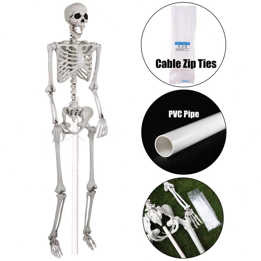 5.4 ft Life Size Full Body Halloween Skeleton with PVC Pipe and Cable ...
