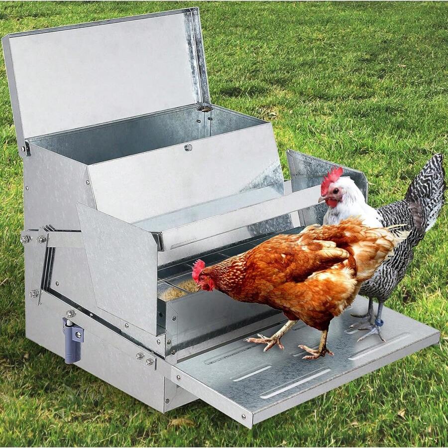 Chicken Treadle Feeder, Poultry Feeder, 30lbs Automatic Chicken Feeder ...