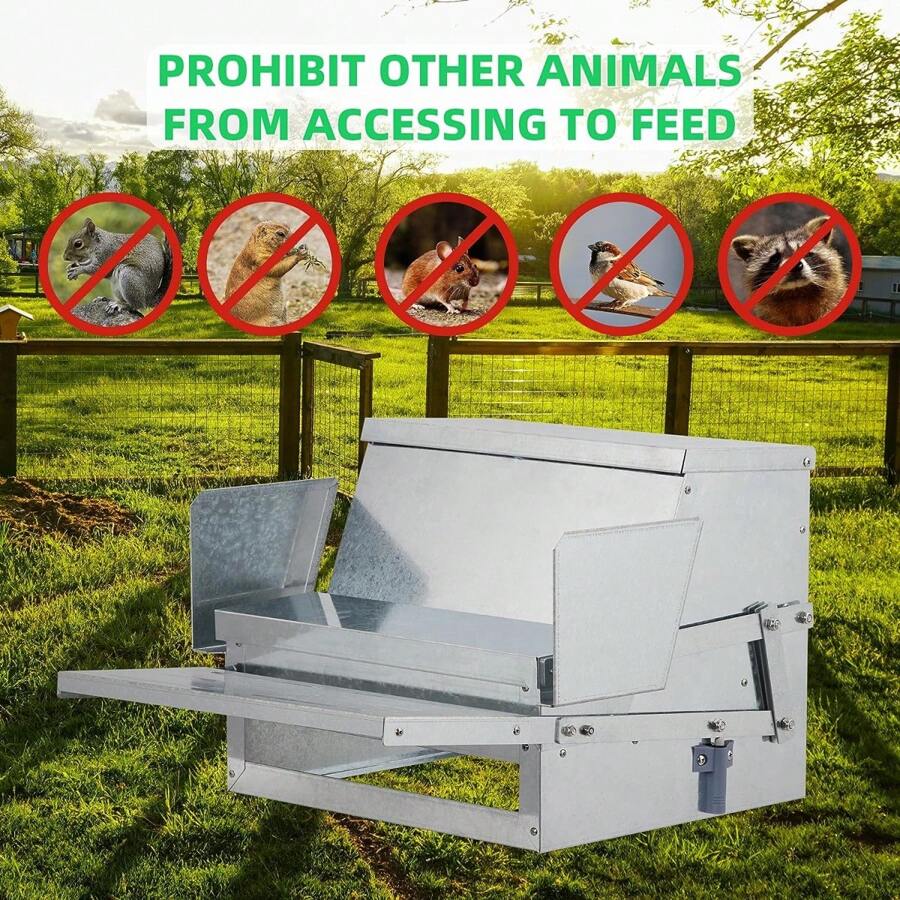 Chicken Treadle Feeder, Poultry Feeder, 30lbs Automatic Chicken Feeder ...