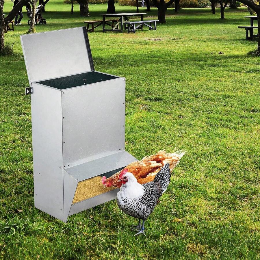 Galvanized Chicken Treadle Feeder, Poultry Feeder, 50lbs Automatic ...