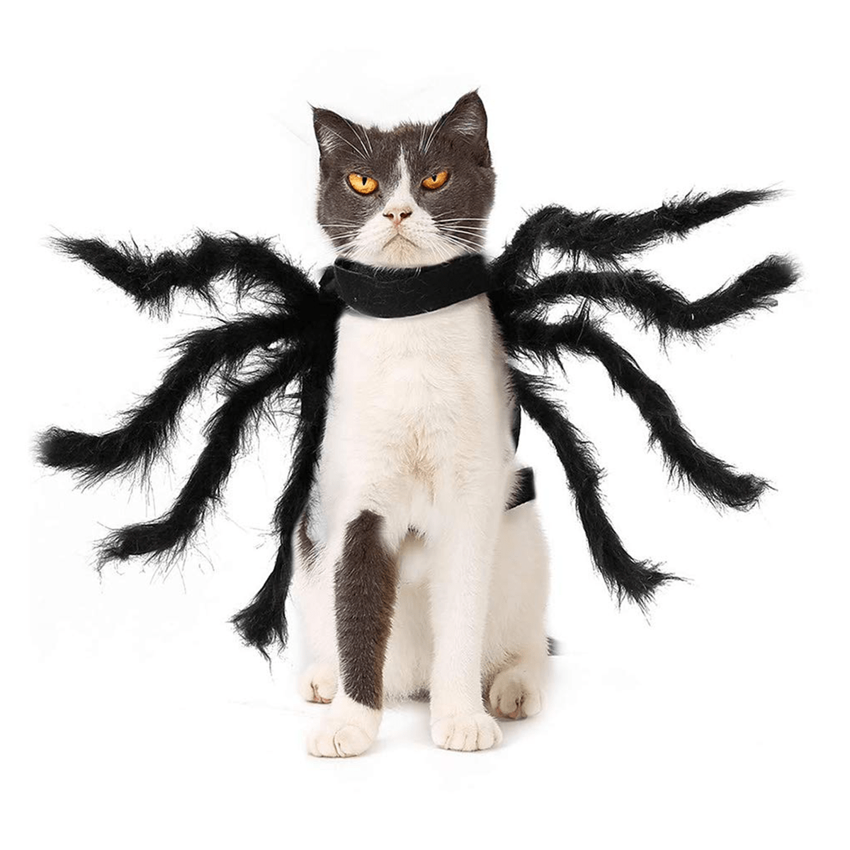 Spider Costume For Dog Cat, Adjustable Spider Cosplay Costumes For ...