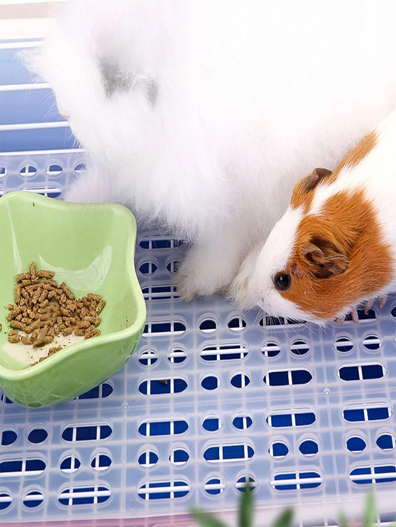 2 Pack Radom Color Plastic Rabbit Cage Mat, Durable Plastic Mesh Rabbit ...