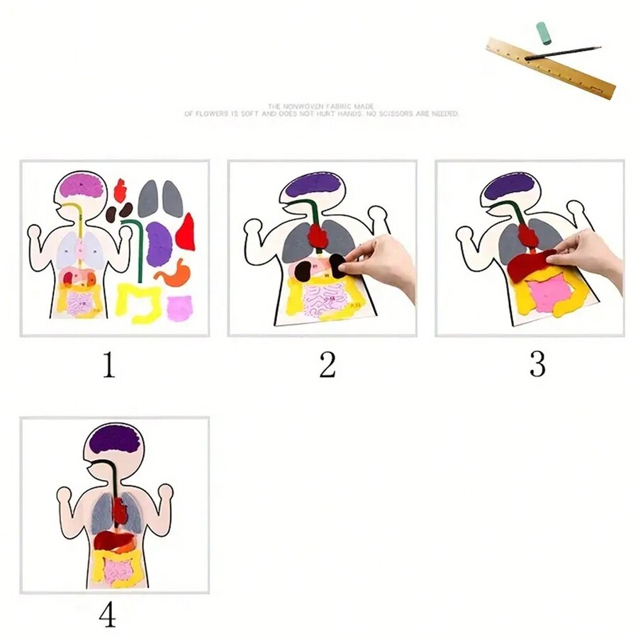 1pc Human Body Internal Organs Creative Children's Non-woven Fabric Diy ...